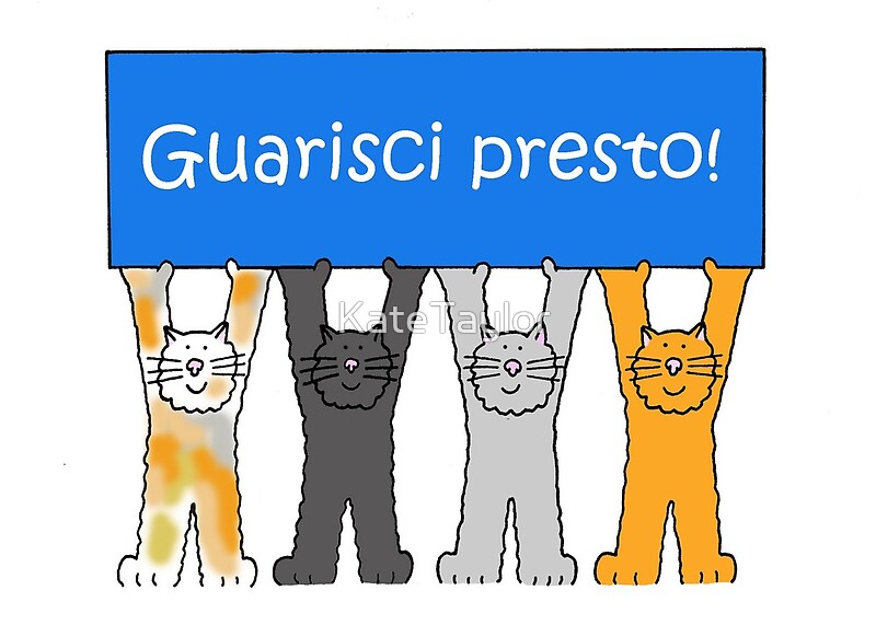 "Italian Get Well Soon, Guarisci Presto." by KateTaylor | Redbubble