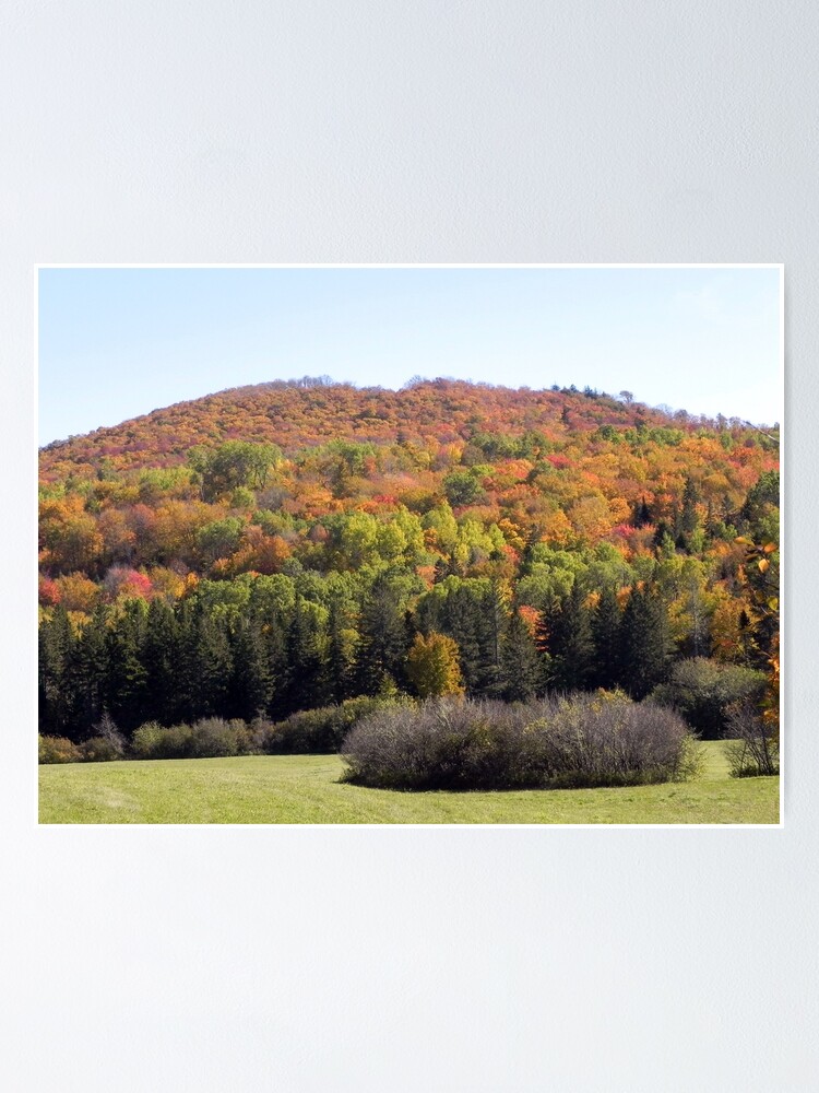 "Multi-colored" Poster by MarthaMedford | Redbubble