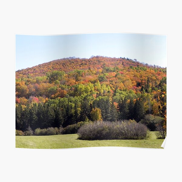 "Multi-colored" Poster by MarthaMedford | Redbubble