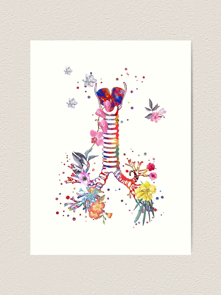 "Windpipe, windpipe anatomy, watercolor windpipe" Art Print for Sale by ...
