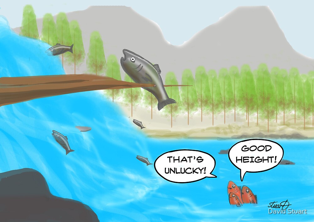 "The Salmon Cartoon" by David Stuart | Redbubble