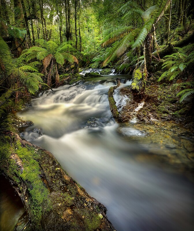 "Arthur River headwaters, Tasmania" by Kevin McGennan | Redbubble