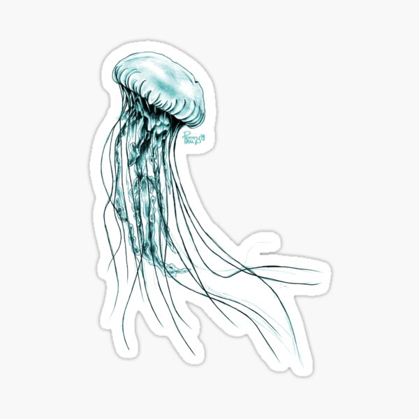 Jellyfish Stickers | Redbubble