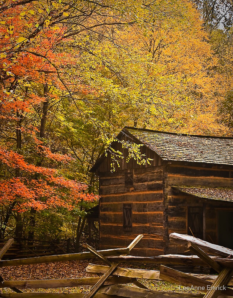 "Chief Logan State Park Cabin" by LeeAnne Emrick | Redbubble