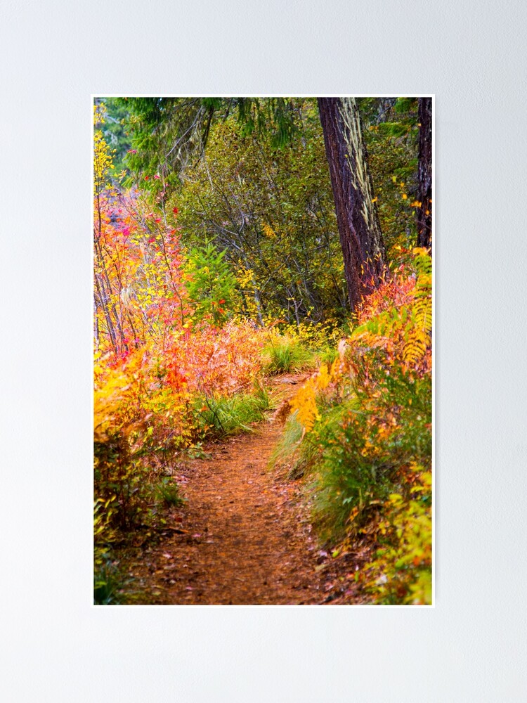 "Autumn color" Poster for Sale by mistyrose | Redbubble