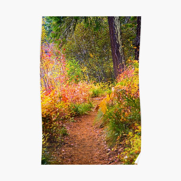 "Autumn color" Poster for Sale by mistyrose | Redbubble