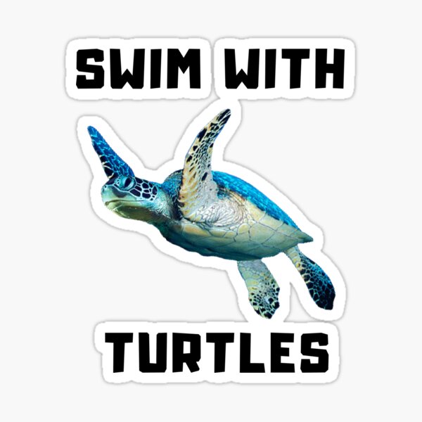 "Swim with turtles" Sticker by avit1 | Redbubble