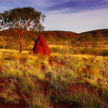 "Morning Light on the Pilbara - Western Australia" Poster for Sale by ...