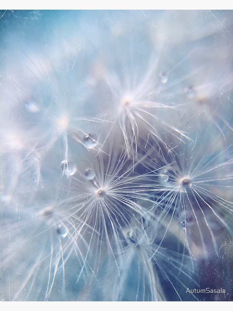 "Light Drizzle " Sticker for Sale by AutumSasala | Redbubble