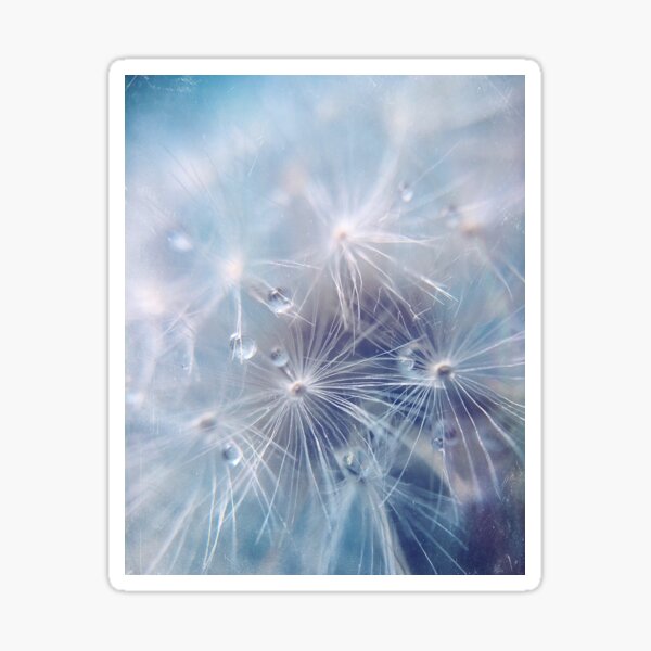 "Light Drizzle " Sticker for Sale by AutumSasala | Redbubble