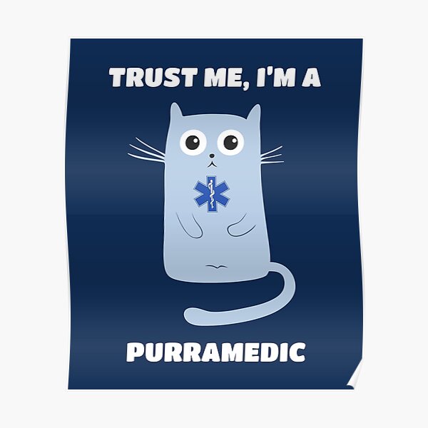 Paramedic Posters | Redbubble