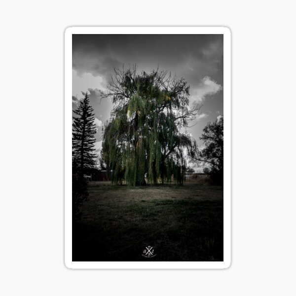"The Fading Tree" Sticker for Sale by UpscaleExotics | Redbubble