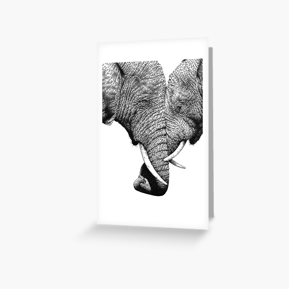 "African Elephants with trunks entwined" Greeting Card by lornamulligan ...