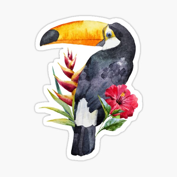 Sticker: Tucan | Redbubble