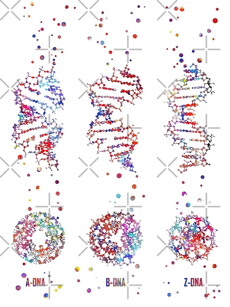 Lámina fotográfica «ADN ABZ, molécula de ADN, acuarela ADN, ADN ...