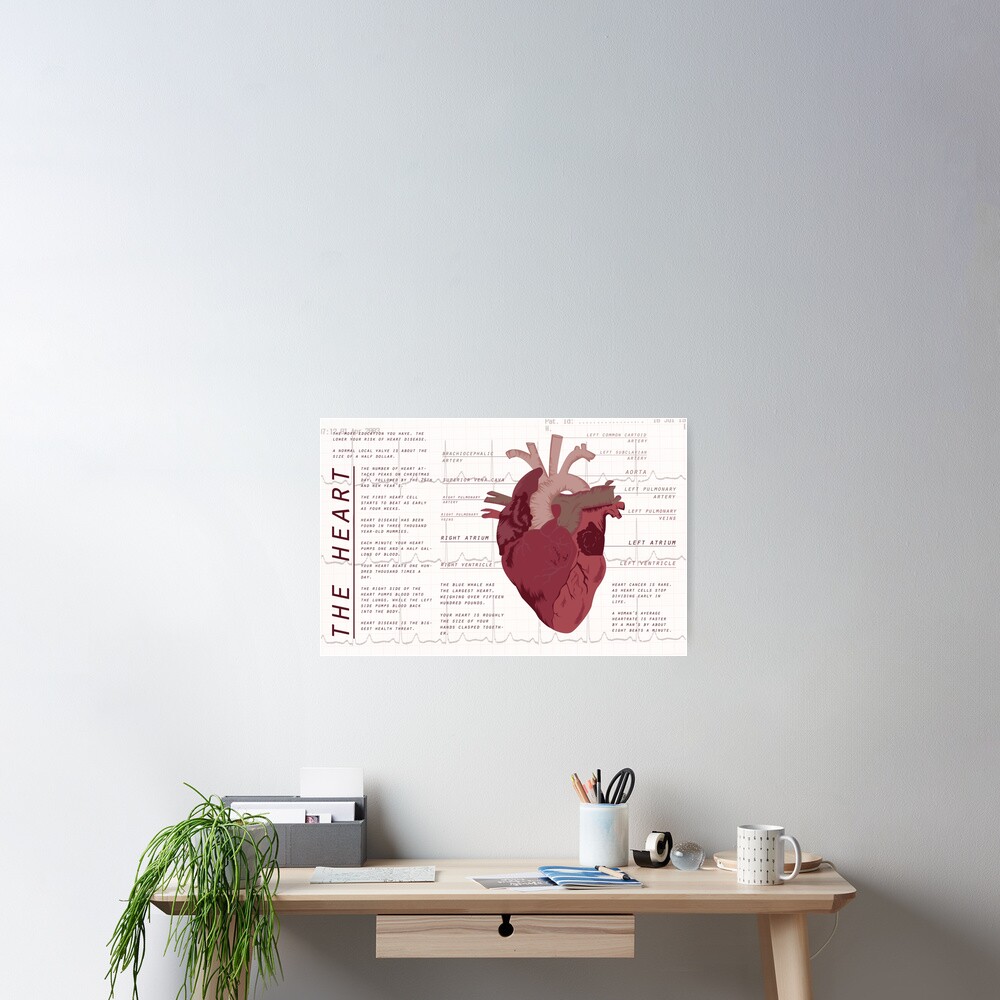 "Medical Poster - The Heart" Poster for Sale by ArchiveArtistry | Redbubble