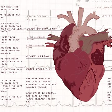 "Medical Poster - The Heart" Postcard for Sale by ArchiveArtistry ...