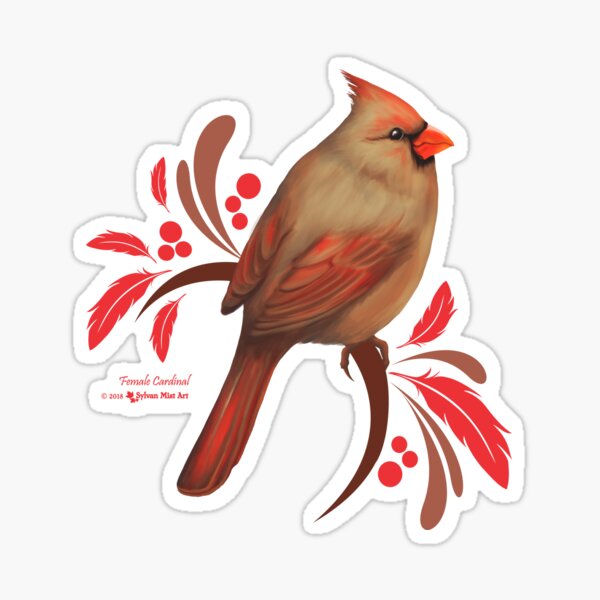 "Female Cardinal" Sticker for Sale by sylvanmist | Redbubble