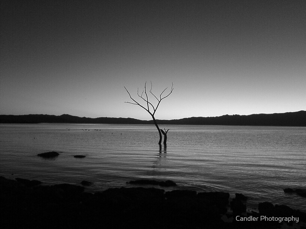 "Black and White Sunrise" by Candler Photography | Redbubble