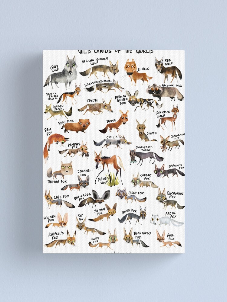 "Wild Canids of the World" Canvas Print by rohanchak | Redbubble