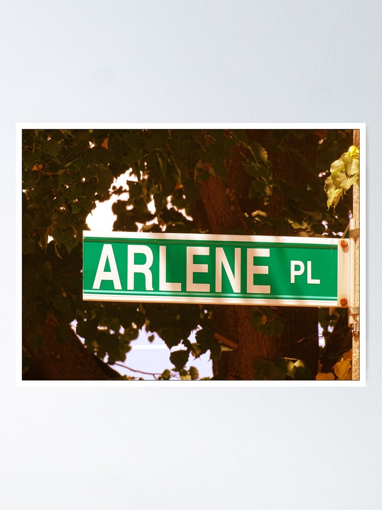 "Arlene " Poster for Sale by PicsByMi | Redbubble