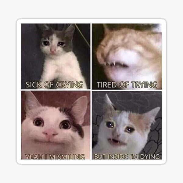 "Sad cats" Sticker for Sale by SPARTIAN | Redbubble