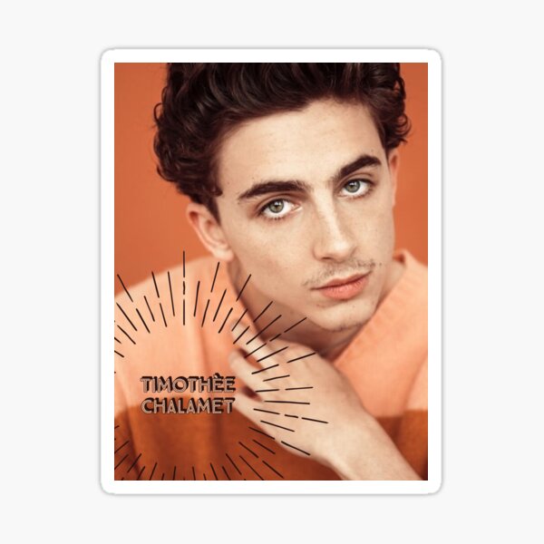 "Damn Fine Timmy " Sticker by Staceylovecats | Redbubble