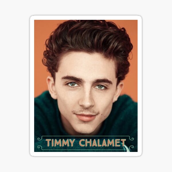 "So Beautiful Timmy " Sticker for Sale by Staceylovecats | Redbubble