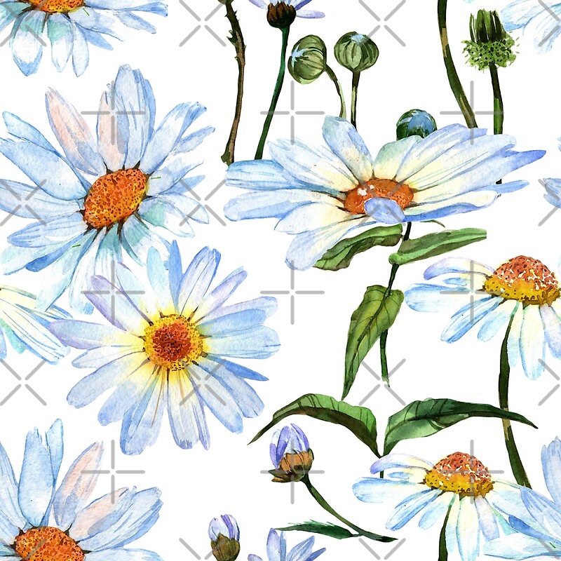 "Pretty White Daisy Flower Floral Pattern " by ColorFlowArt | Redbubble