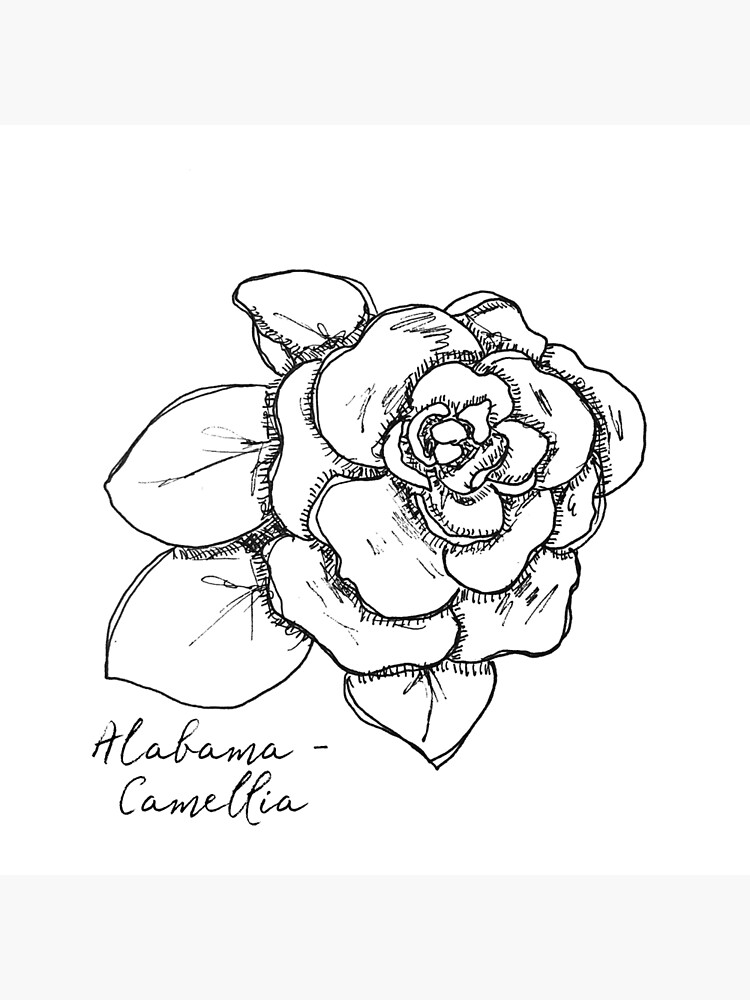 Camellia Illustration Print Printable Alabama State Flower Dark Pink ...