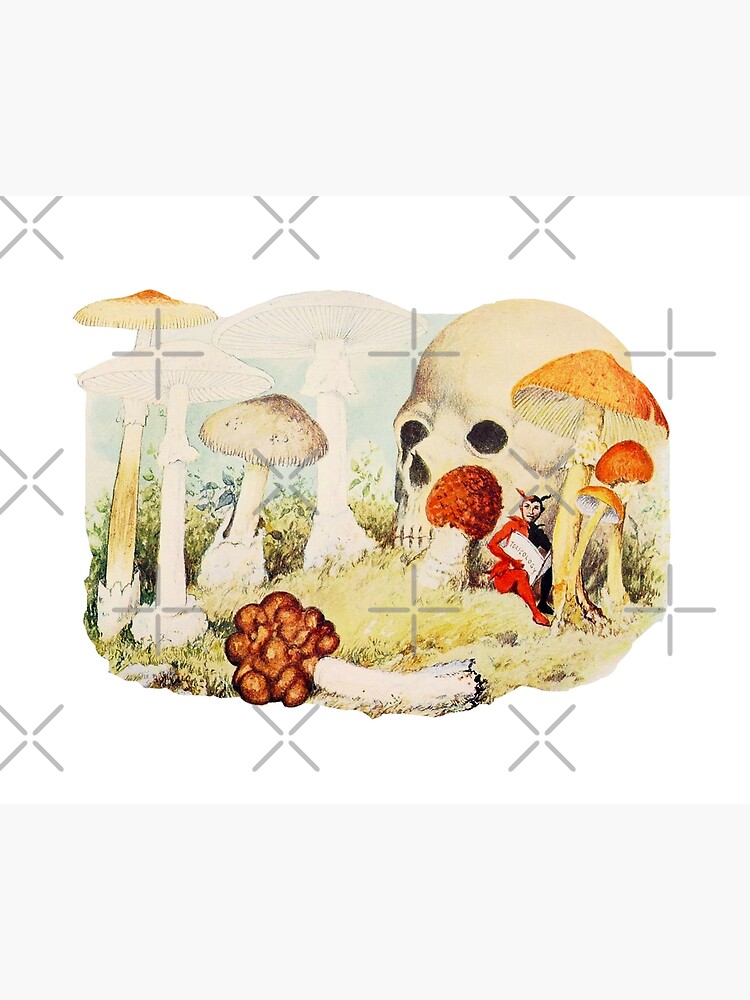 "Magic Mushrooms, Skull, Devil, Amanita Muscaria Toadstool, Fly Agaric ...