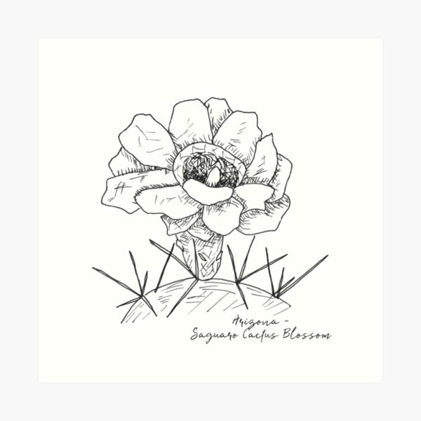 "Saguaro Cactus Blossom Arizona State Flower Illustration" Art Print by ...