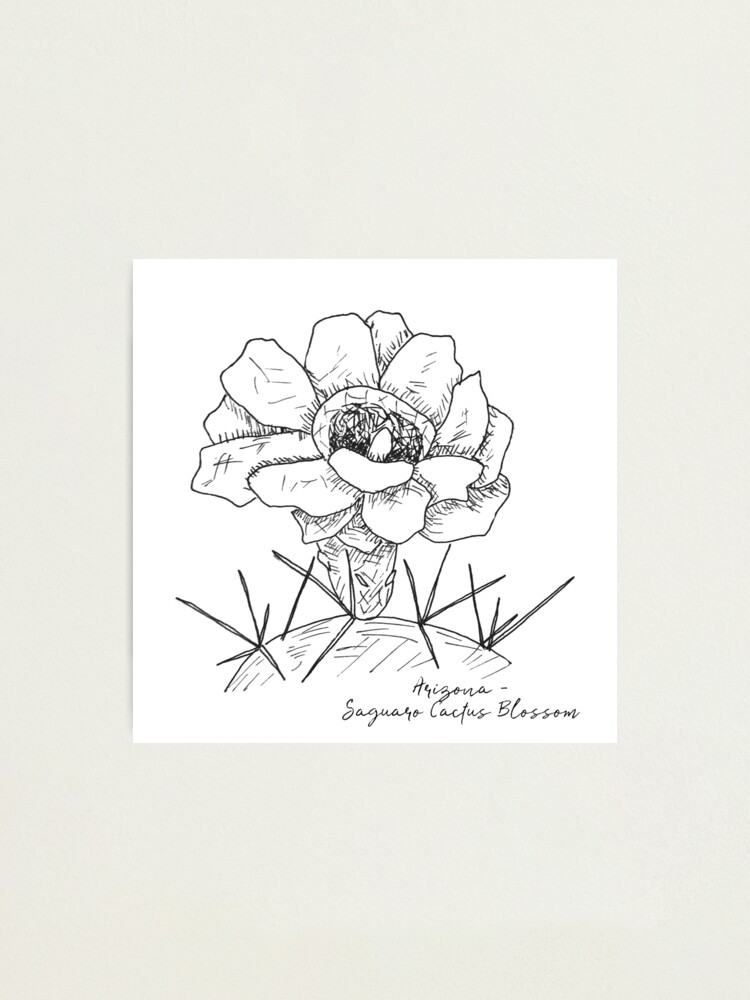 Arizona state flower tattoo - Bronctattooaus.com
