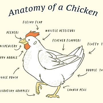 "Anatomy of a Chicken " Photographic Print for Sale by reylayneart ...