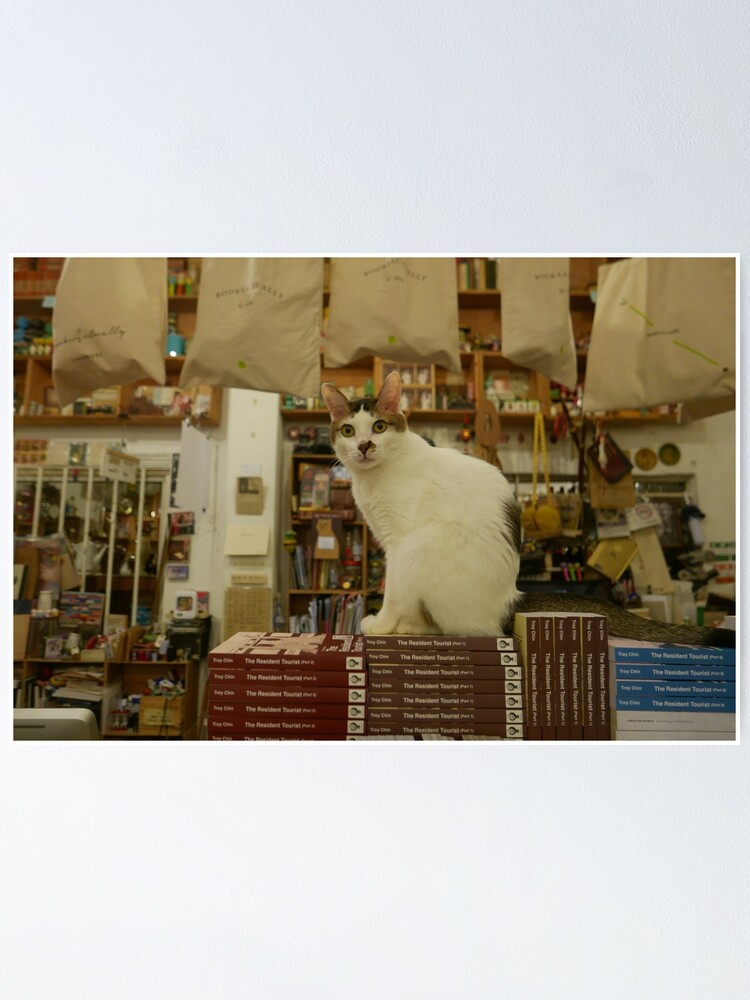 "Bookshop Cat" Poster for Sale by hannahlouise21 | Redbubble