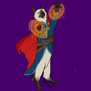 "Doctor Strange Cat" Essential T-Shirt for Sale by JunglekinzMEWZ ...