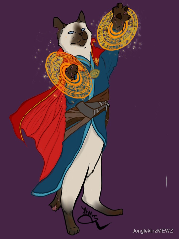 "Doctor Strange Cat" Essential T-Shirt for Sale by JunglekinzMEWZ ...