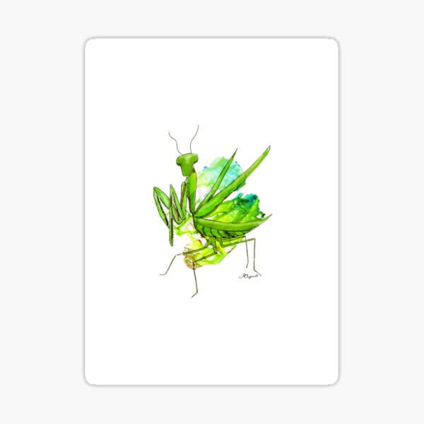 Angular Merch & Gifts for Sale | Redbubble