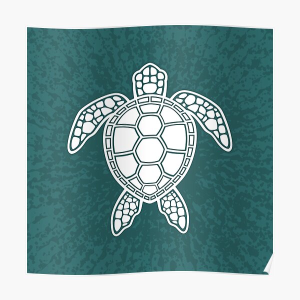"Green Sea Turtle Design - White" Poster for Sale by fizzgig | Redbubble