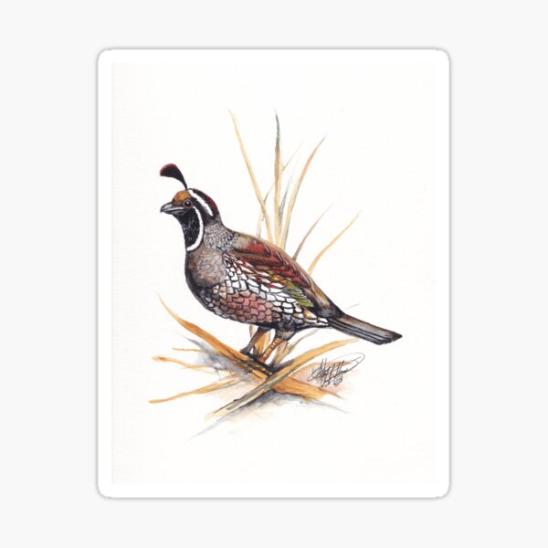 Adam Ehrenfeuchter Shop | Redbubble