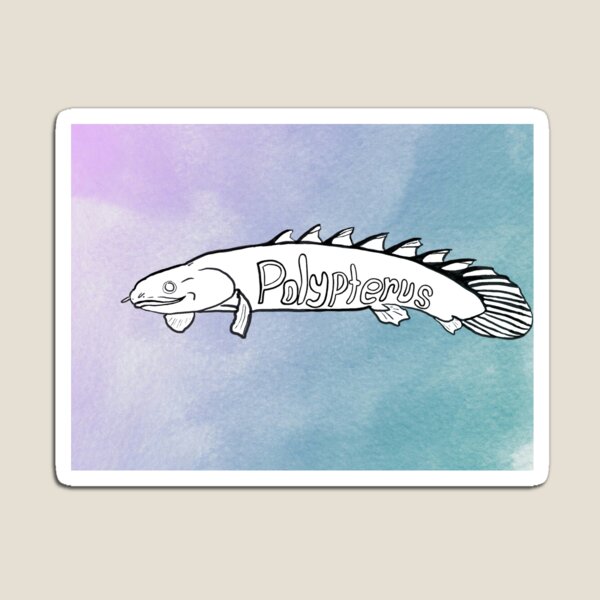 Bichir Gifts & Merchandise | Redbubble