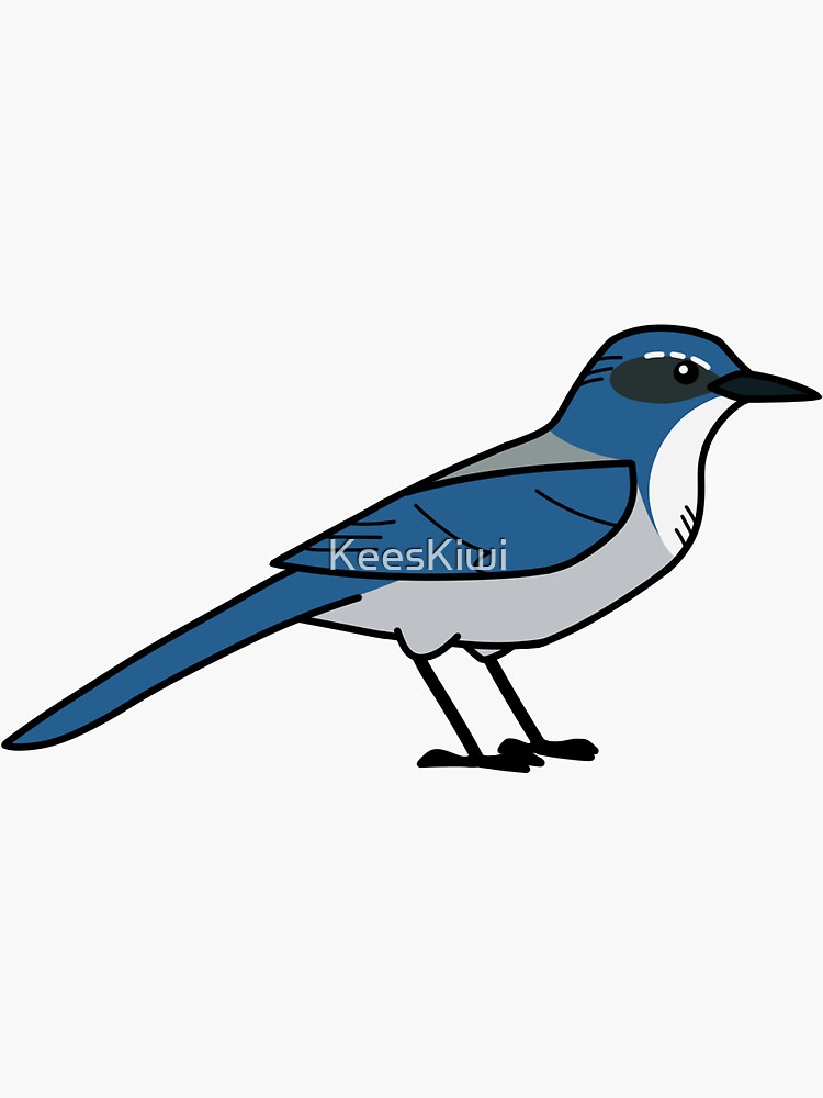 "California Scrub Jay" Sticker for Sale by KeesKiwi | Redbubble