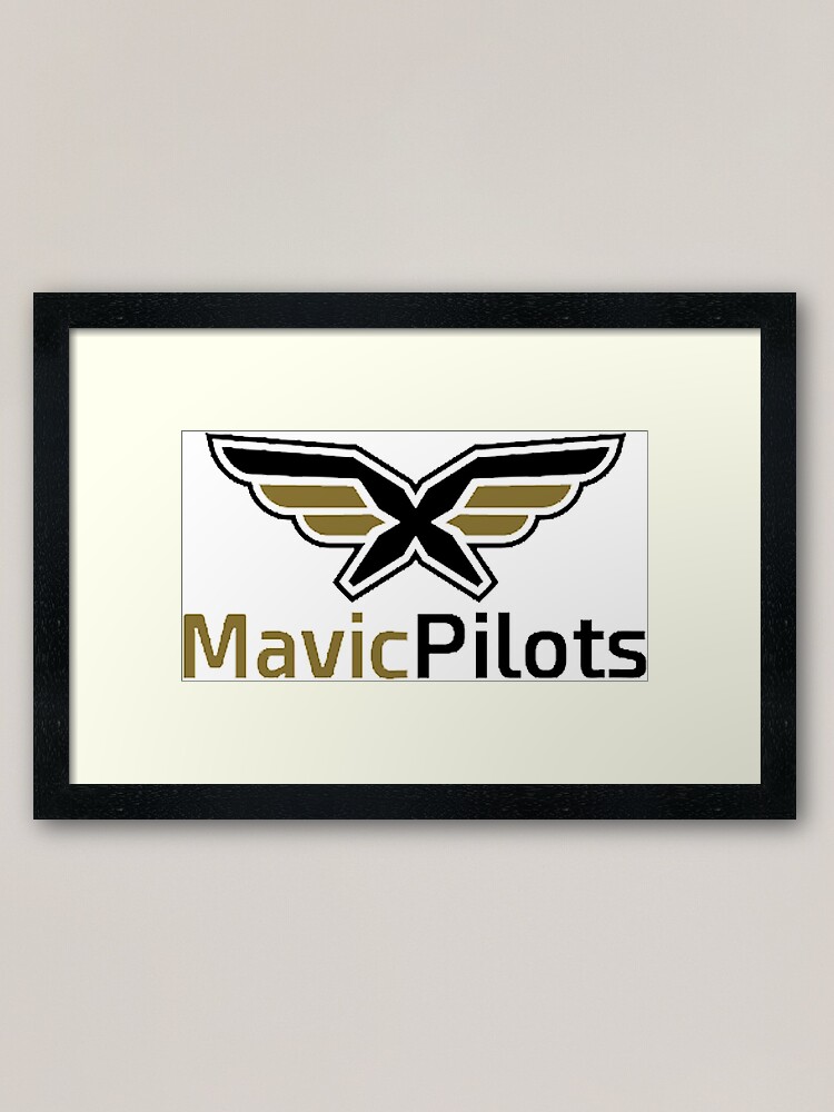 mavicpilots