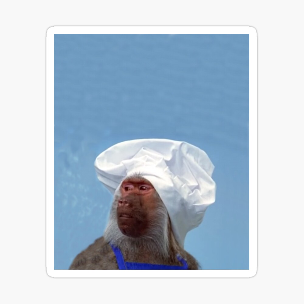 Monkey Chef Memes The Barber Monkey. Accurate Drawing Of Wool. Barber