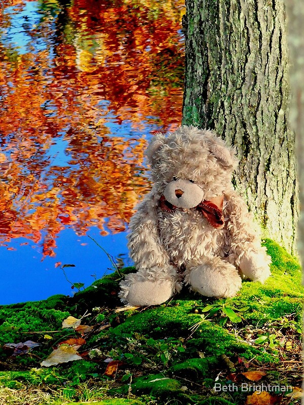 "Teddy bear reclining against an autumn tree" by Beth Brightman | Redbubble