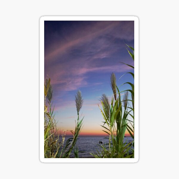 "Romantic evening" Sticker for Sale by MarionsArt | Redbubble