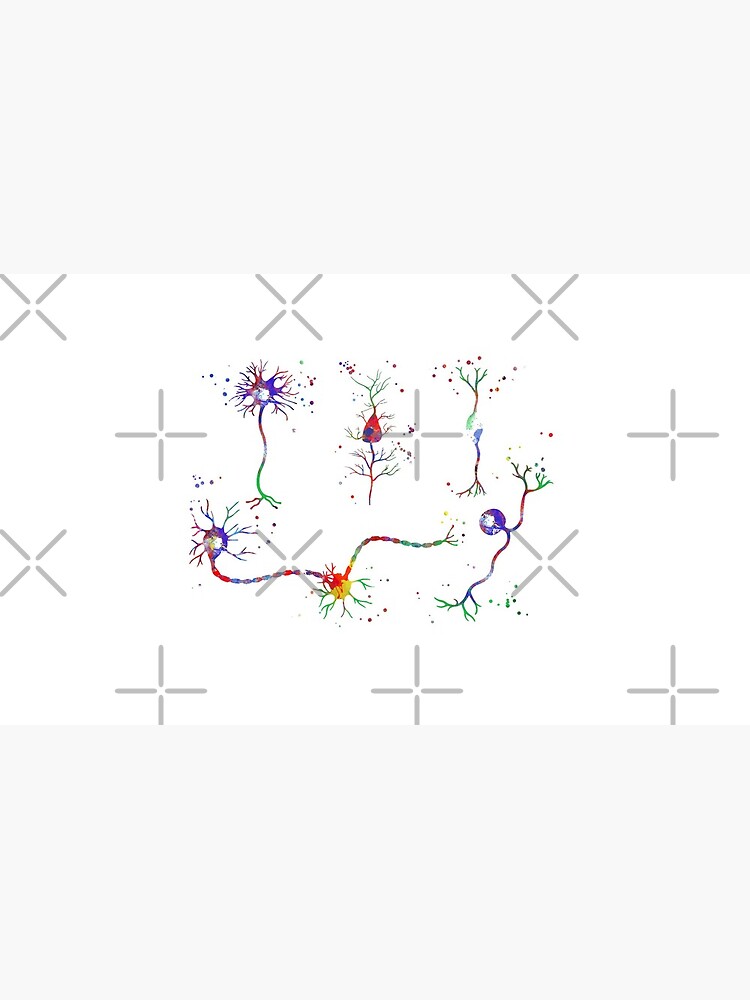 "Neuron cells, neurology poster, medical art, watercolor neuron cells ...