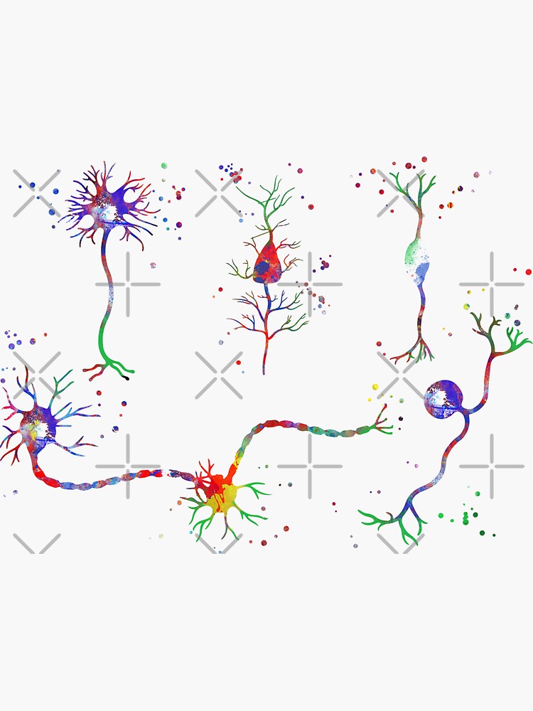 "Neuron cells, neurology poster, medical art, watercolor neuron cells ...
