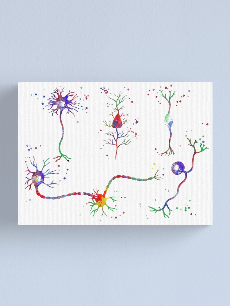 "Neuron cells, neurology poster, medical art, watercolor neuron cells ...