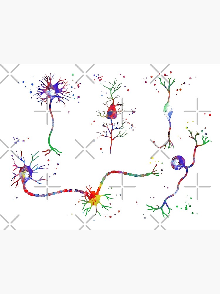 Neuron cells, neurology poster, medical art, watercolor neuron cells ...
